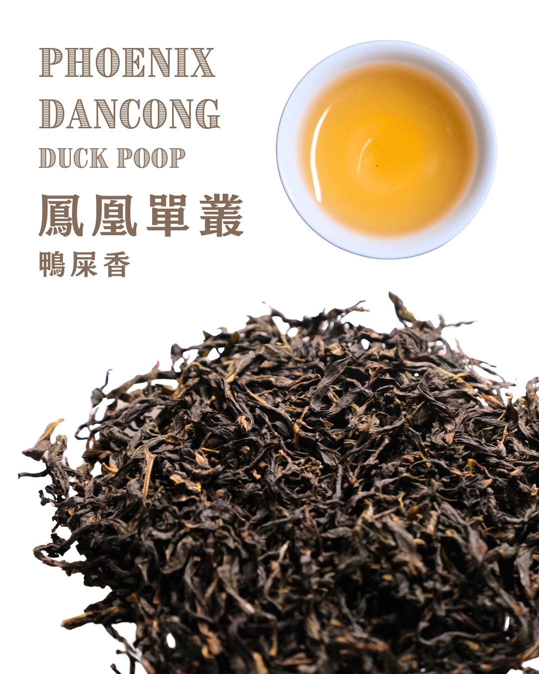 Phoenix Dancong - Duck Poop Aroma 鳳凰單叢 (鴨屎香) – The Tea Ground
